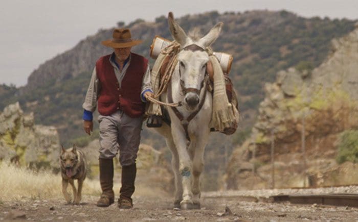 Donkeyote has UK Premiere - Screen Academy Scotland